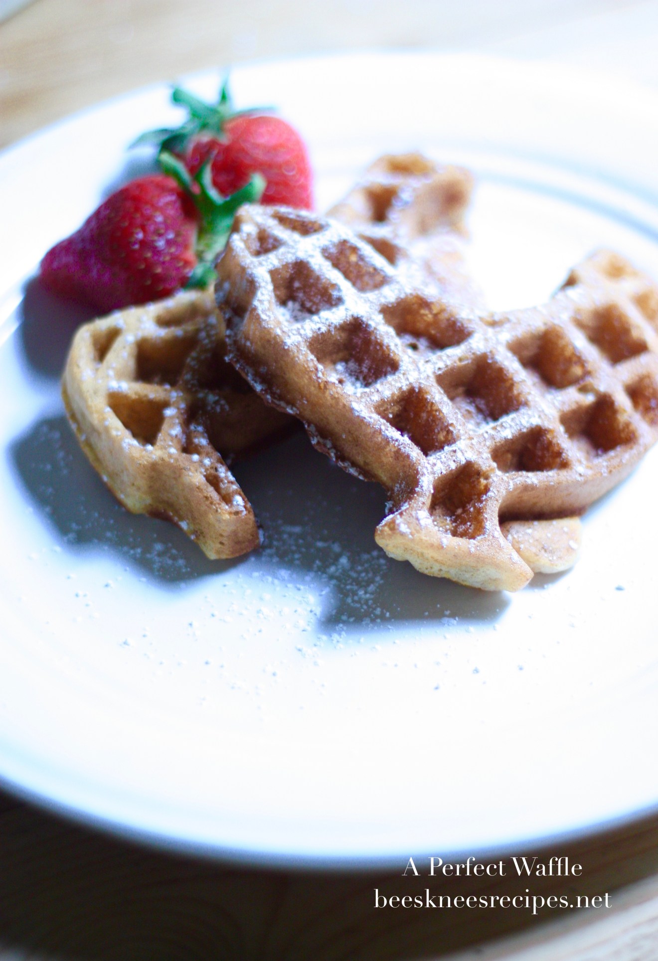 Bees Knees Recipes – Page 7 – Food that disappears so quickly, you want ...