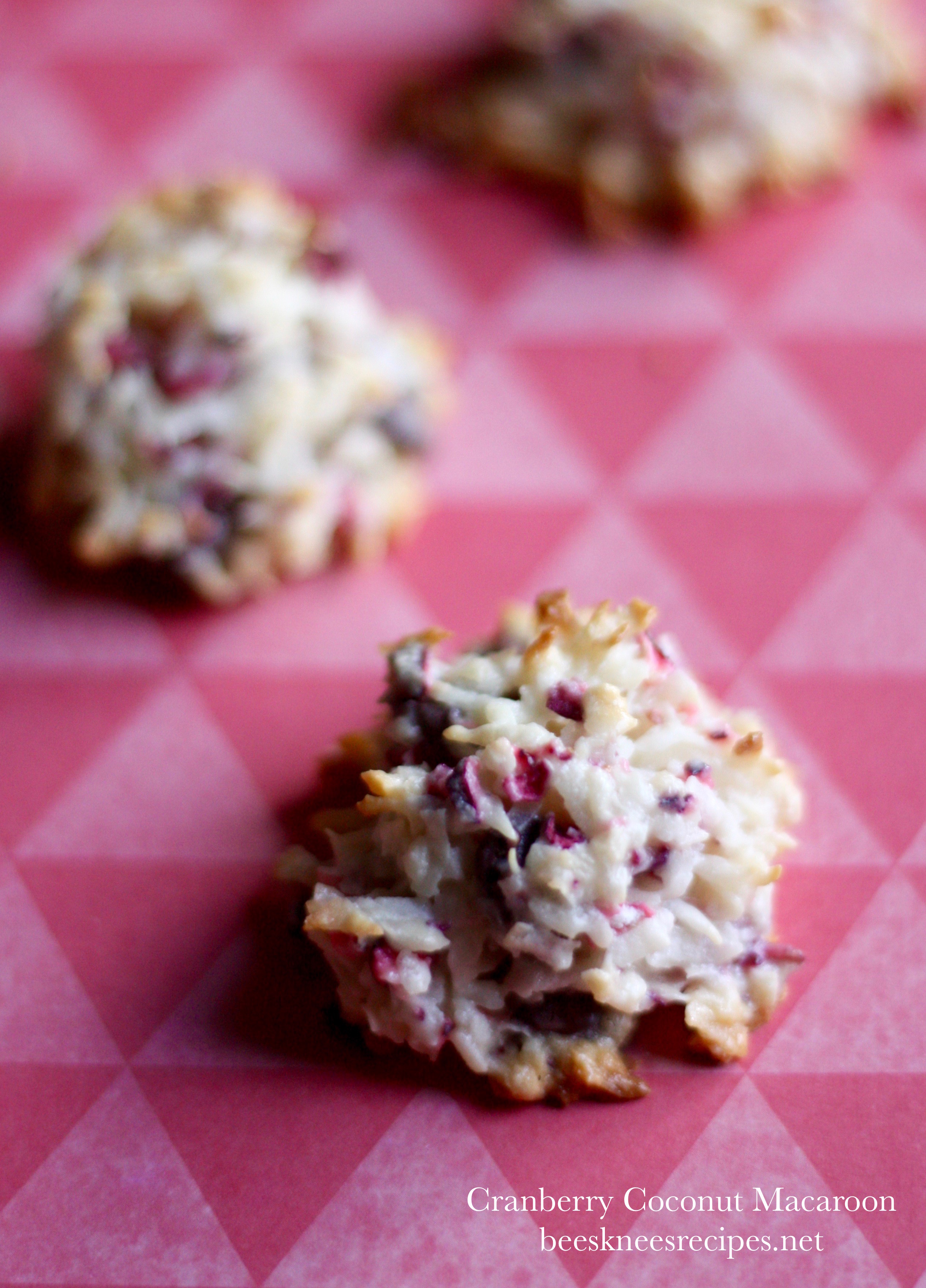 Cranberry Coconut Macaroons – Bees Knees Recipes